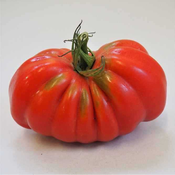 Montserrat – Seed & Stem