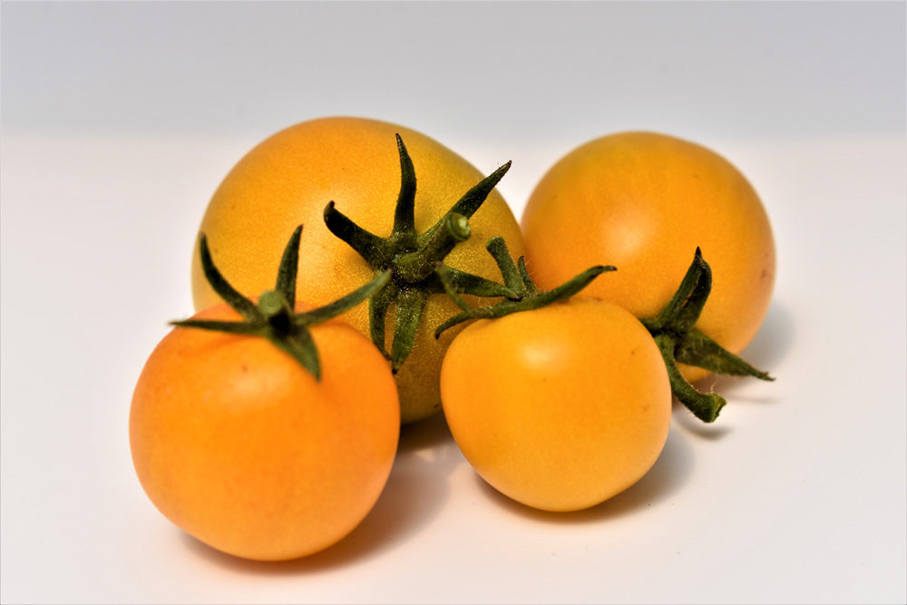 Tangella – Seed & Stem